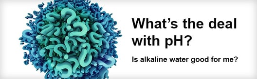 What Causes a High pH Level in Water?